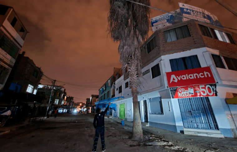 Comas: palmera de 18 metros representa un peligro para los vecinos de ...