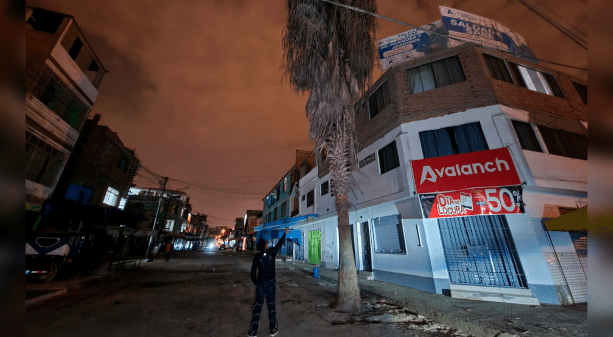 Comas: palmera de 18 metros representa un peligro para los vecinos de ...